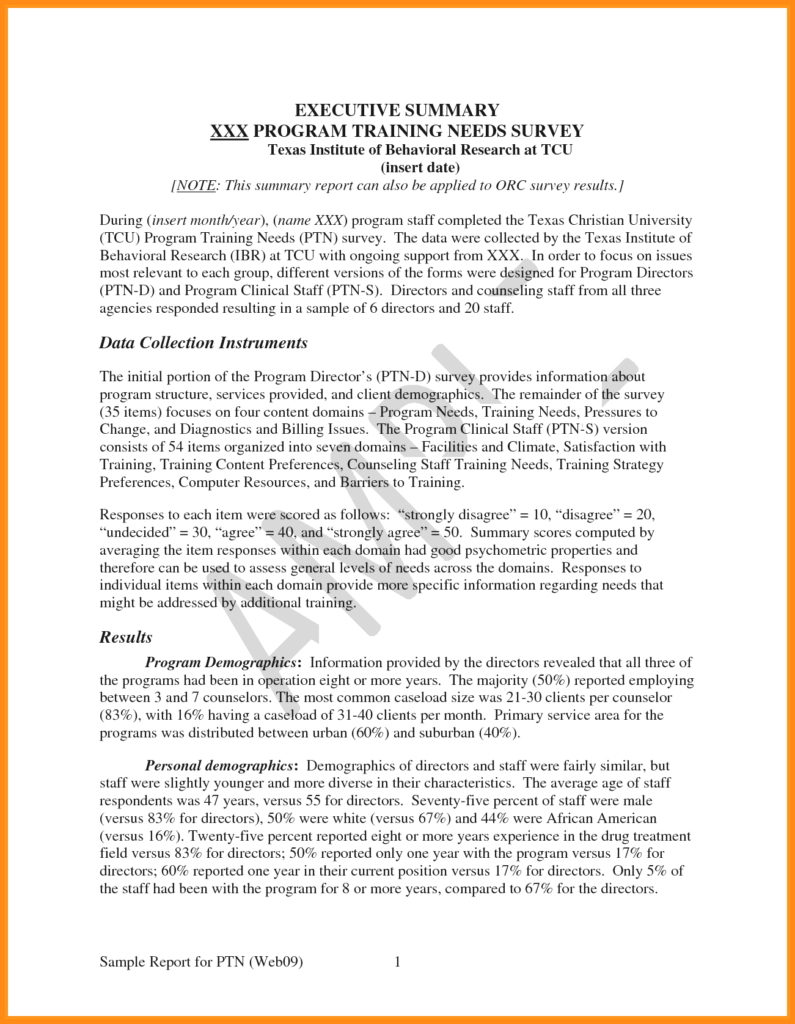 Executive Summary Of A Report Example